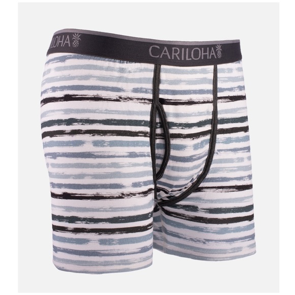 Cariloha | Underwear & Socks | Cariloha Bamboo Boxer Briefs Slate ...